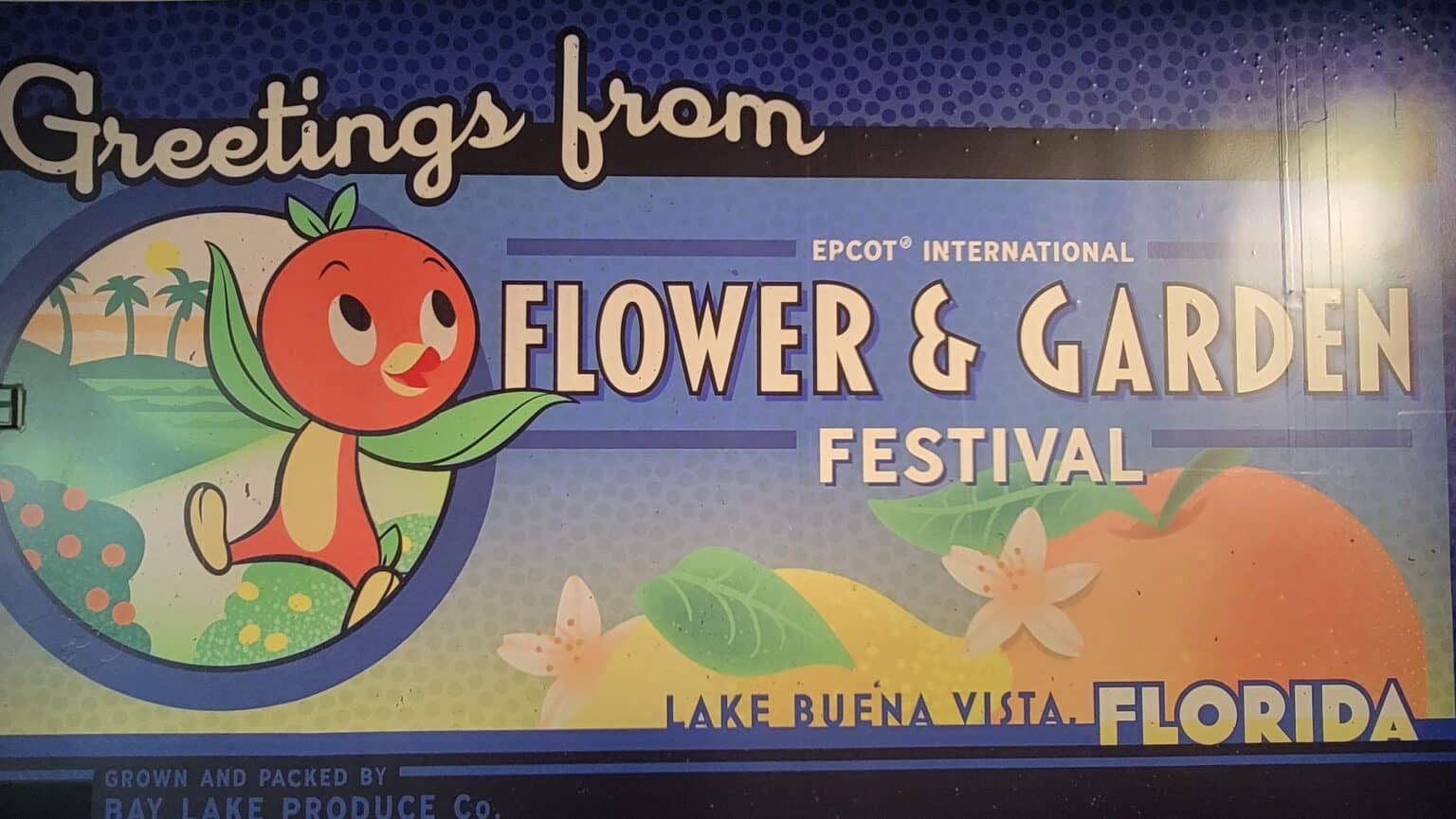 2026 Walt Disney World Garden Rocks Concert Series Music Acts Announced ...