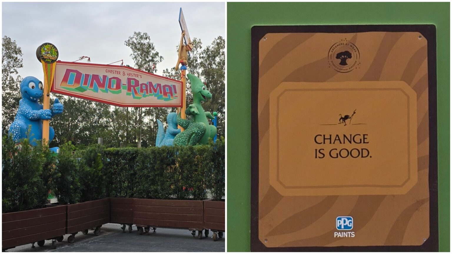 Walls Up as Dinoland USA Phased Closures Begin at Disney’s Animal ...
