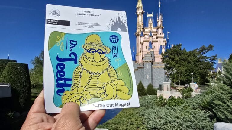 The Muppets 70th Anniversary Magnet Collection from Disney Parks ...