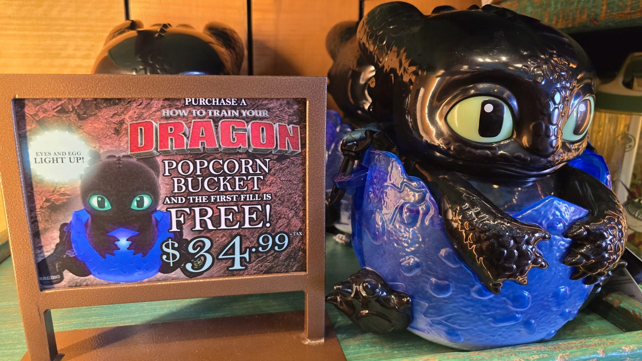 We, My Friends, Have How to Train Your Dragon Popcorn Buckets at AMC ...