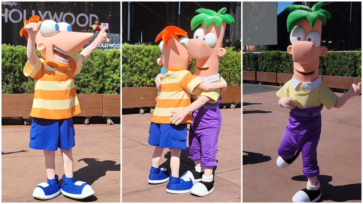 “Hey, Ferb!” Phineas and Ferb Meet & Greet Returns to Walt Disney World ...