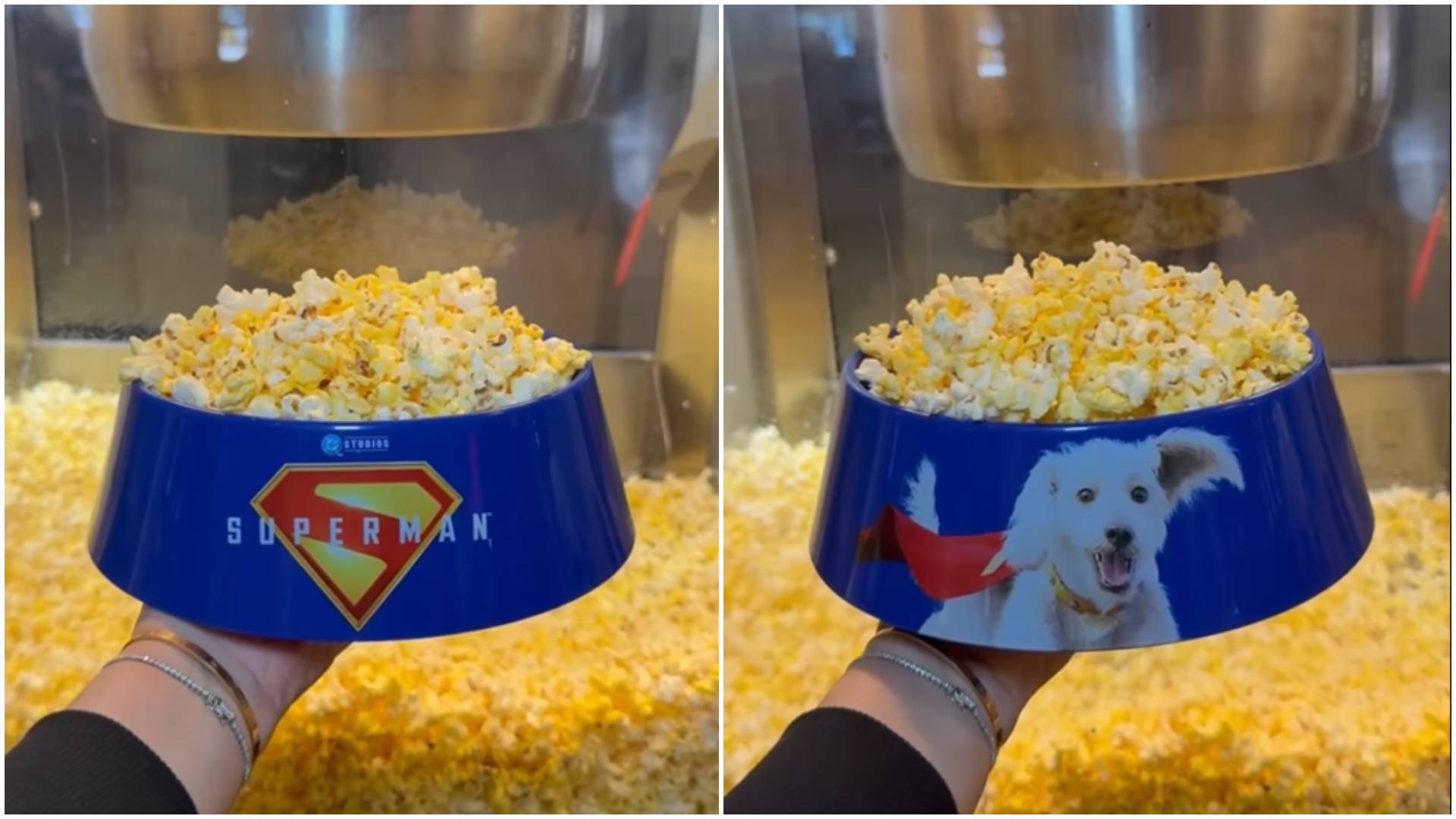 Cinemark Theaters Superman Popcorn Buckets Featuring Krypto the ...