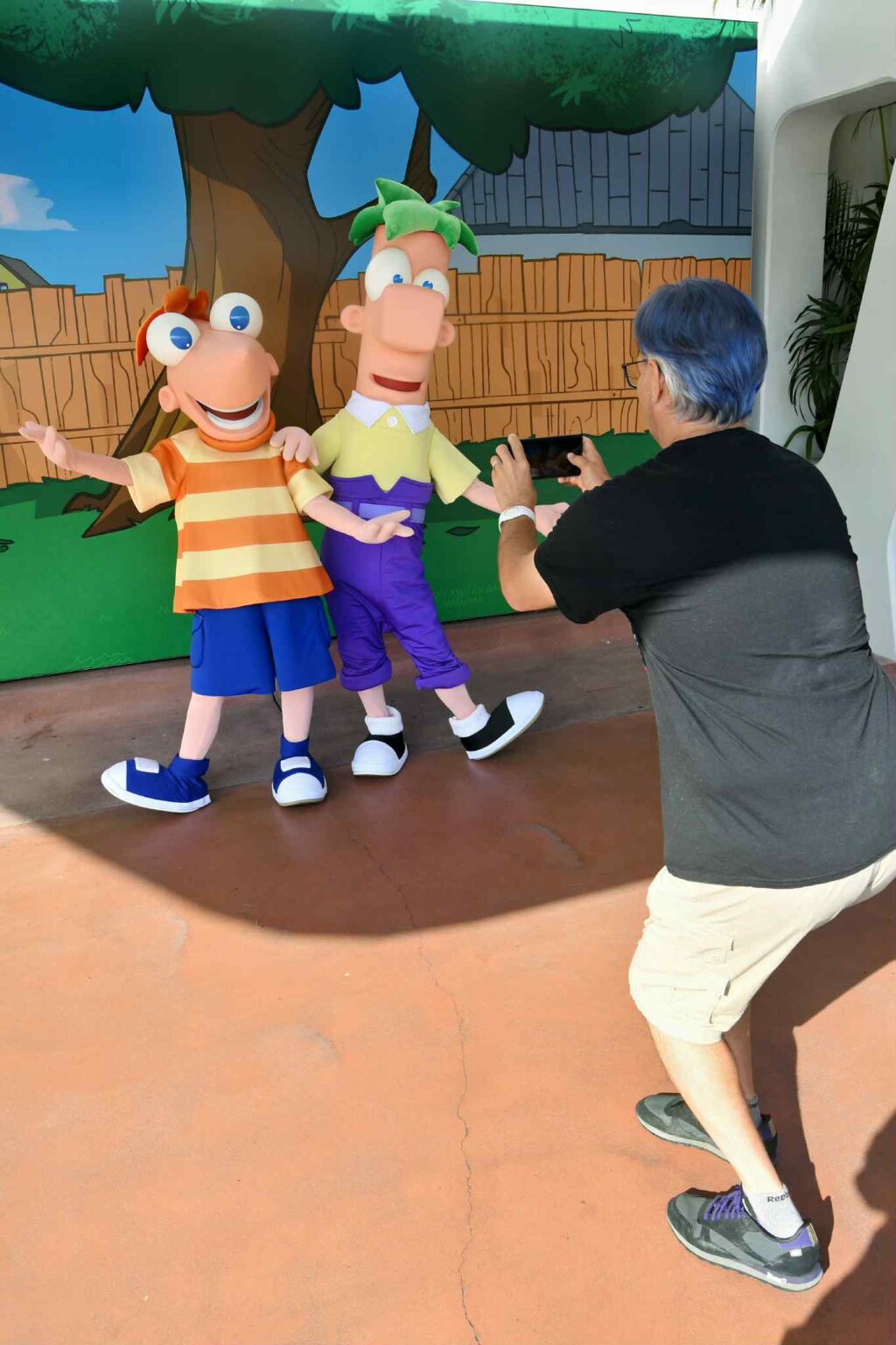 Summer is Starting Right Now: Phineas and Ferb Meet & Greet Times at ...