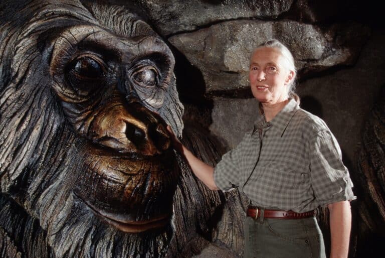 Dr. Jane Goodall, Conservation Icon Who Shaped Disney’s Animal Kingdom ...