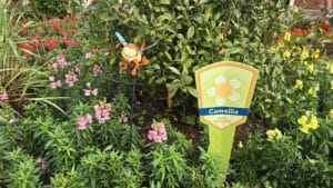 Where to Find Spike the Bee: Spike’s Pollen-Nation Exploration 2026 ...